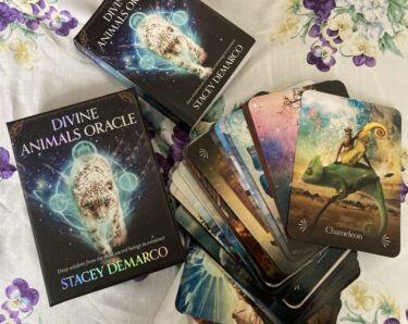 №4. Owl ～フクロウ～【Divine Animals Oracle】カード解説（ディバイン アニマル オラクル シリーズ4）